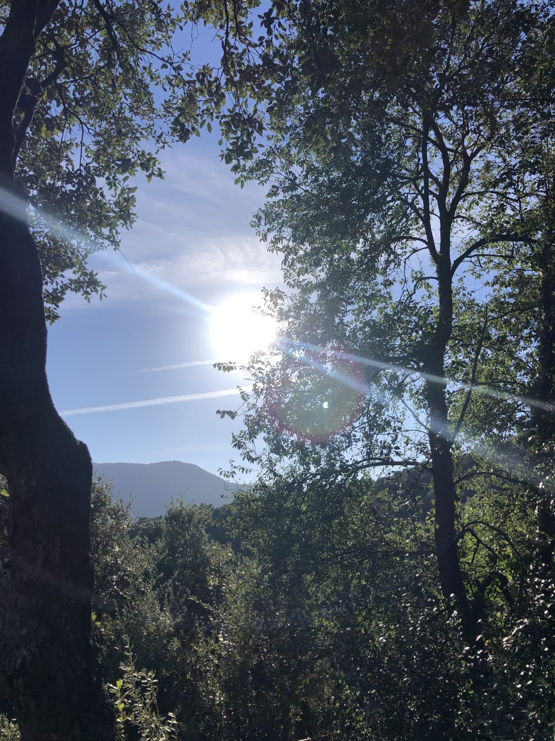 In Doing - Wire Group